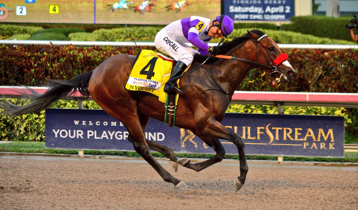 POINT – Canadian Thoroughbred