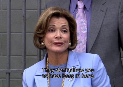 Bees Arrested Development Gif