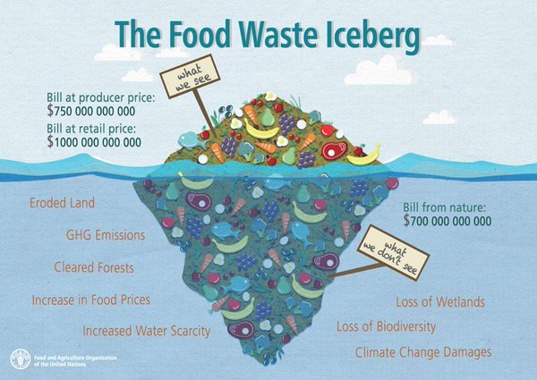 #infographic - the food waste iceberg: what we see & what we don't ...