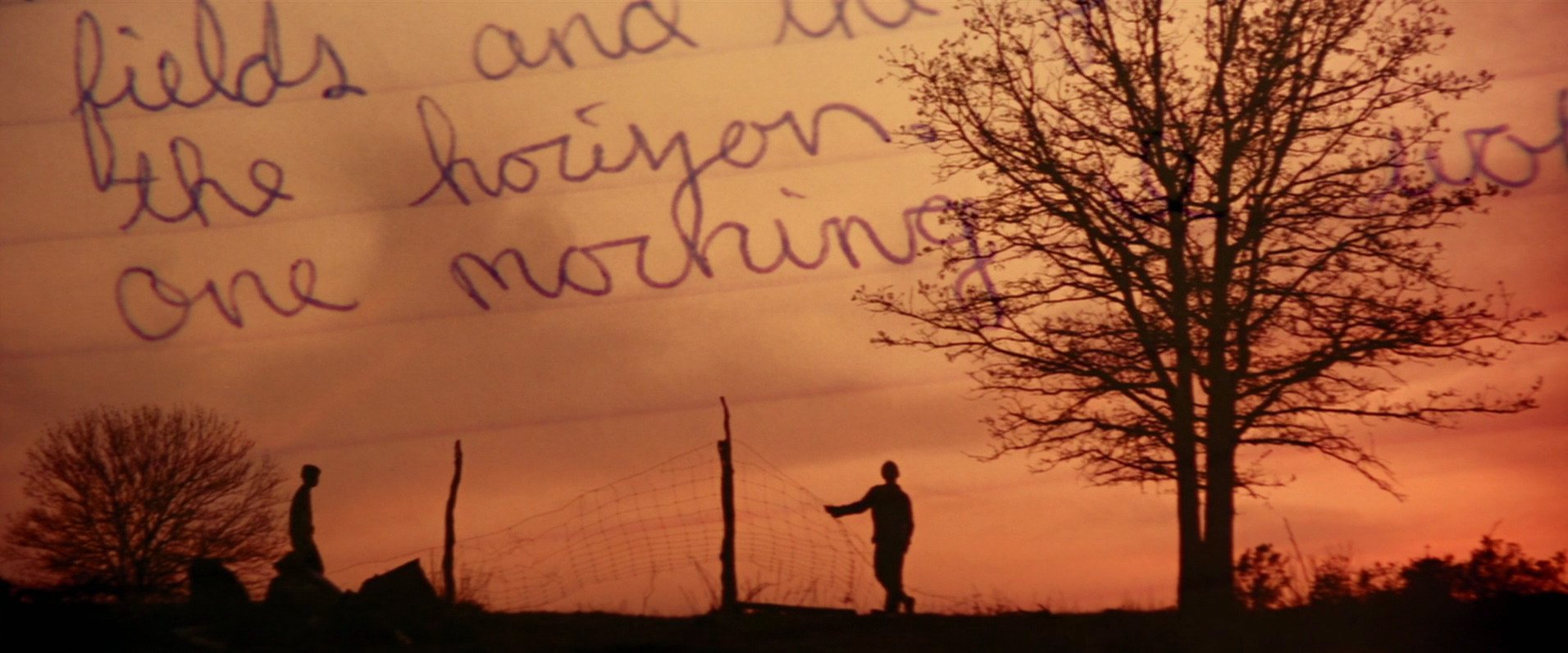 The Outsiders Sunset Quote