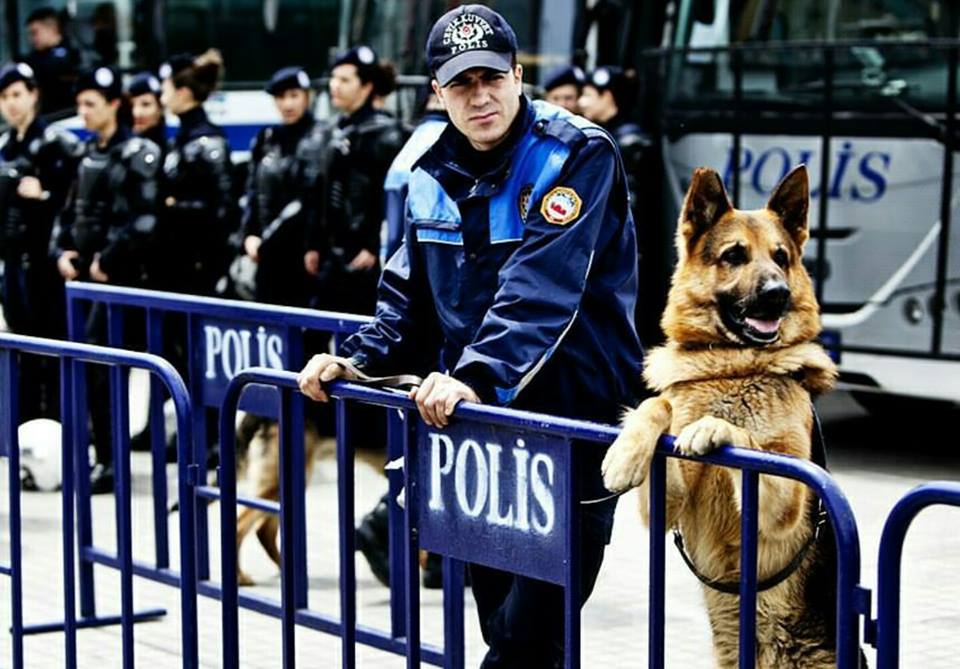 Mehmet Şahan (@Msahan_Official) | Twitter