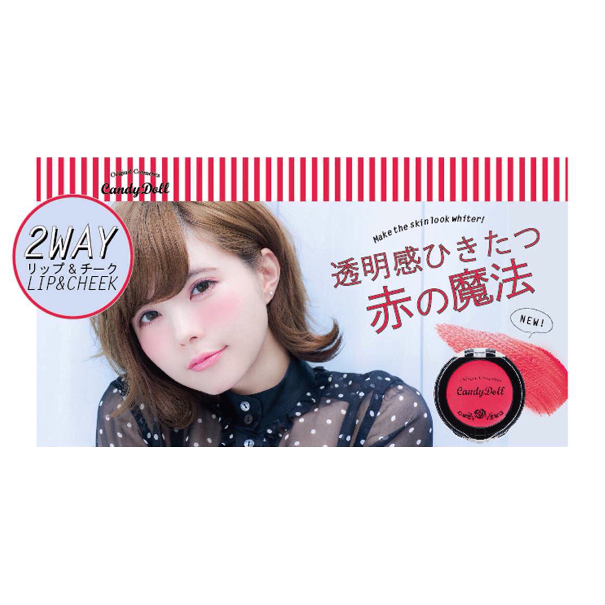 やんちゃなクラスメイト/山川智奈美【CBZD-040】ZG - DVD