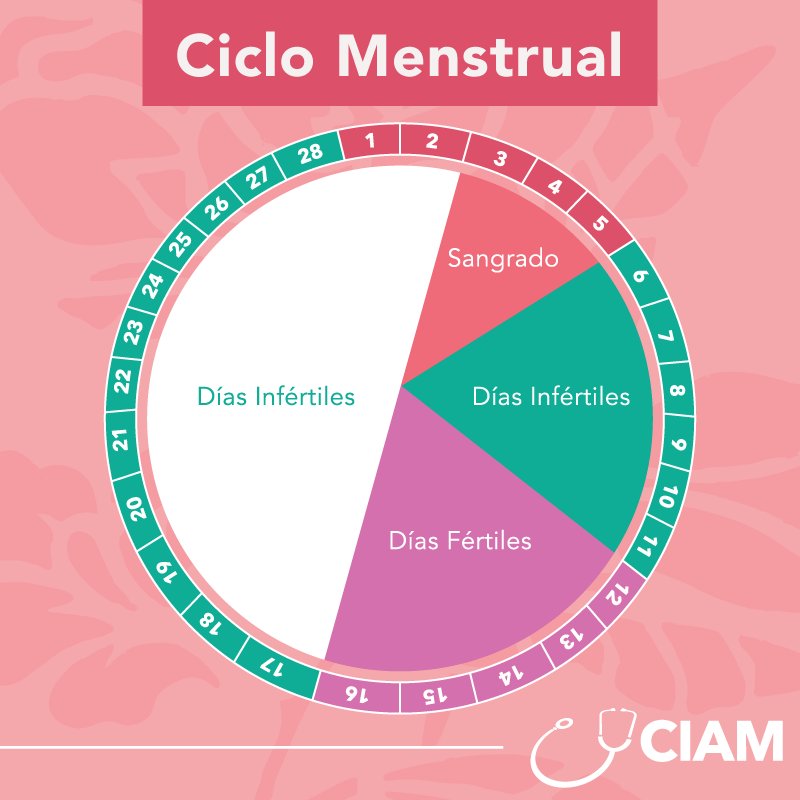 Ciclo Menstrual Y Sus Etapas Dinami - vrogue.co Ciclo Menstrual Y Sus Etapas Dinami - vrogue.co