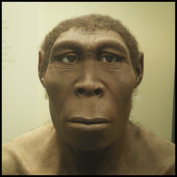 People With No Foreheads