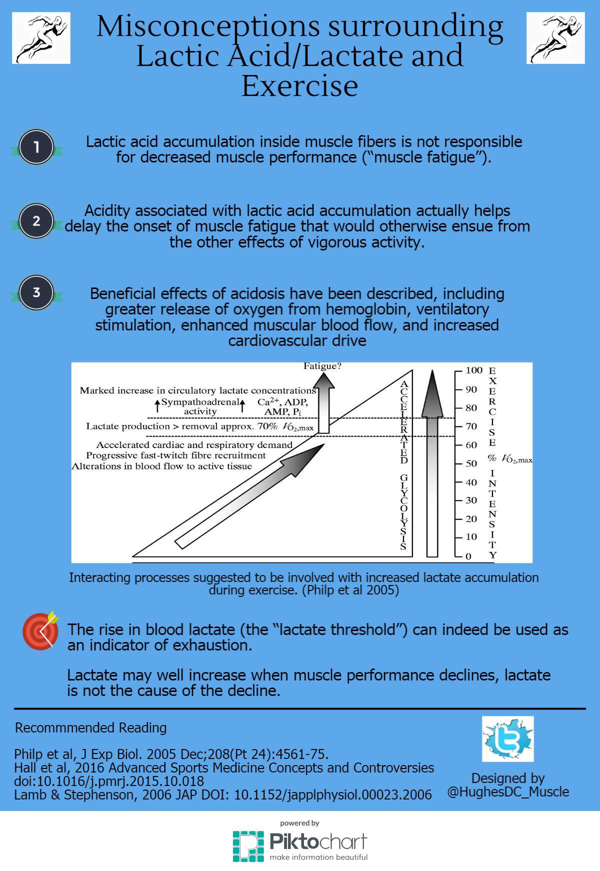 Muscle Fatigue Lactic Acid