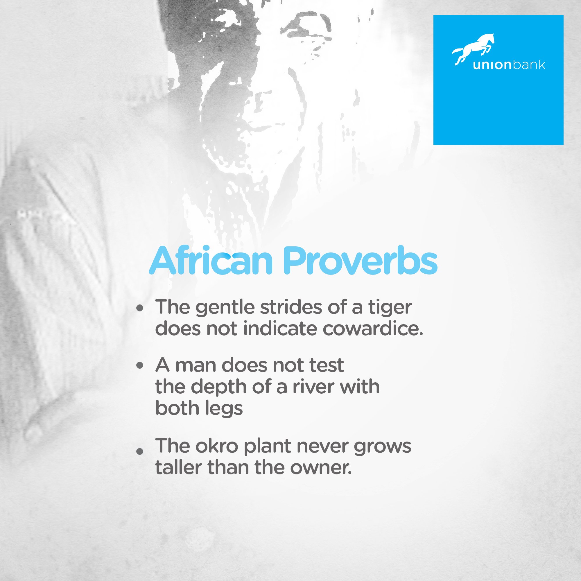 Funny African Quotes