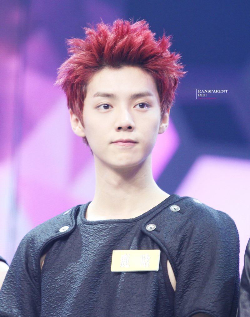 Luhan Wolf
