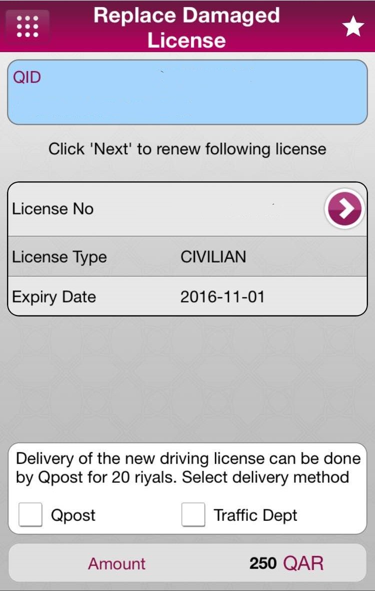 What different types of licenses can i get as a civilian - lasopasmith