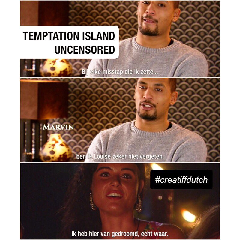 Temptation Island Aki Memes Fall In Love Quotes Heartwarming And