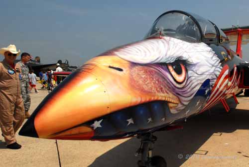 Shark Teeth Nose Art