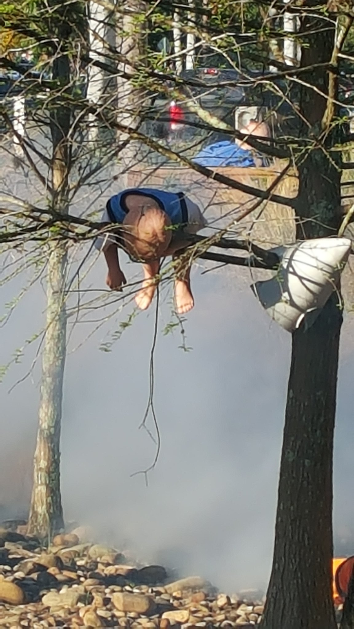 Airplane Crash Body Parts