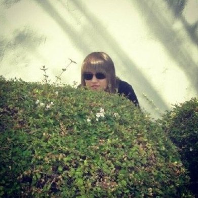 Stalker In The Bushes