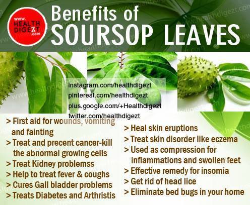 Soursop Benefits