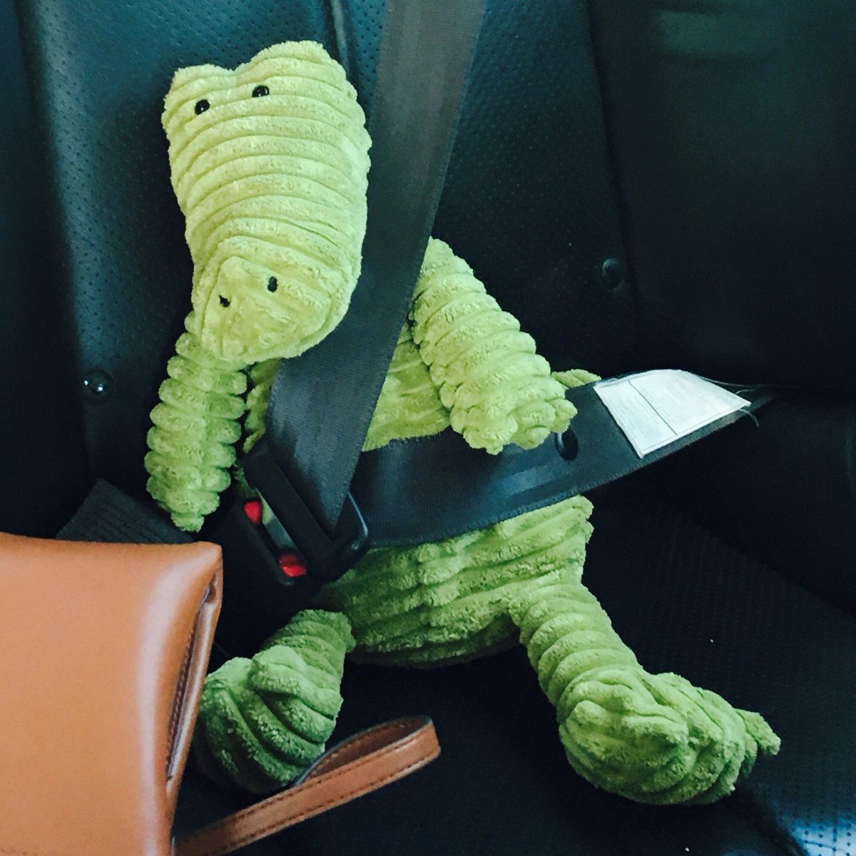 Alfred The Alligator (@AlfredAlligator) | Twitter