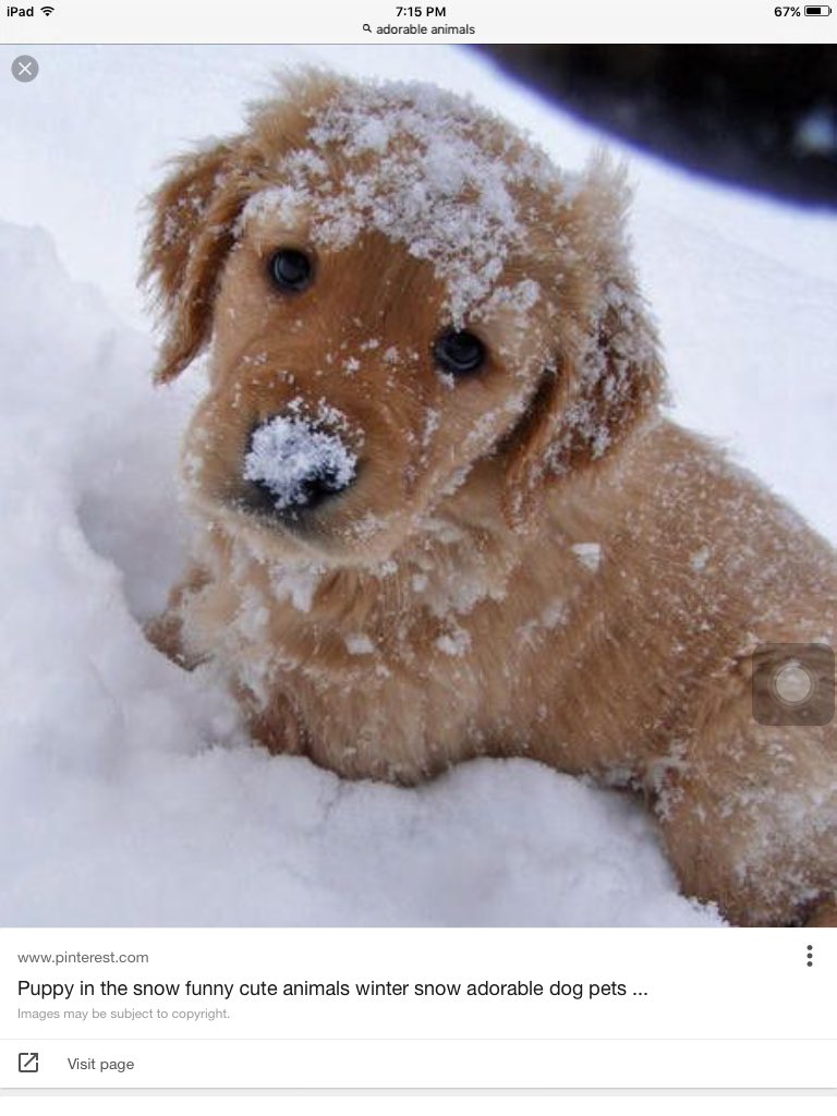 Dev Dev (@rosenberg_devyn) | Twitter