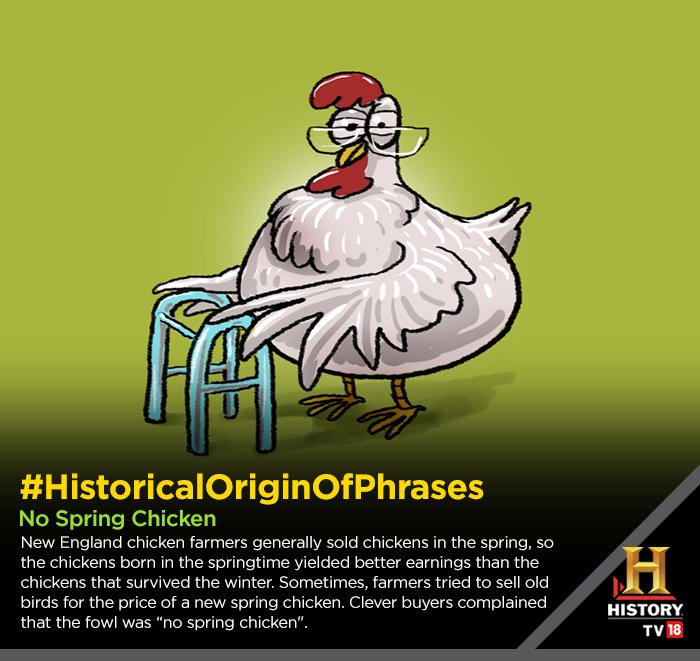 HistoricalOriginOfPhrases No Spring Chicken - Someone past their prime ...