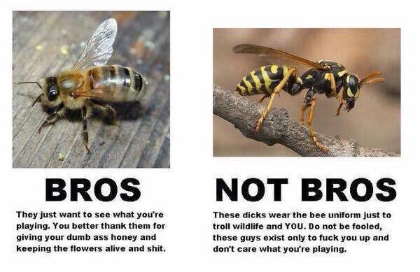This Is A Wasp Meme