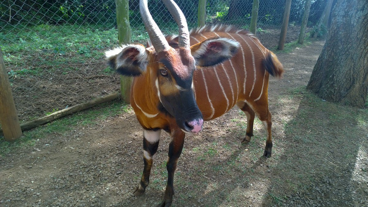 David Hool (@David_hool) | Twitter