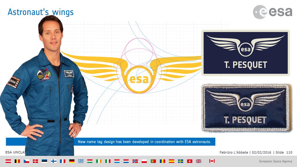 Astronaut Wing Logo