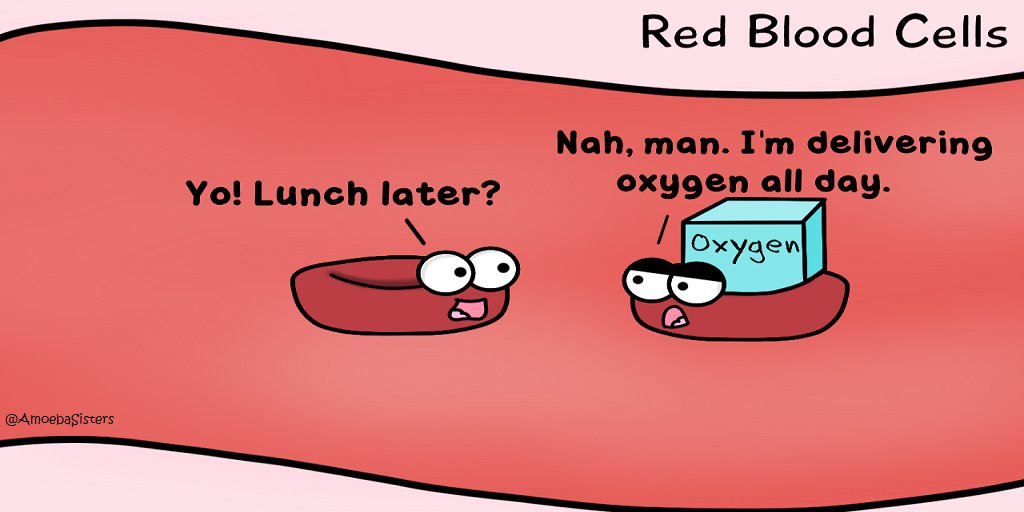 Red Blood Cell Jokes Cartoon Red Blood Cell Vector Illustration