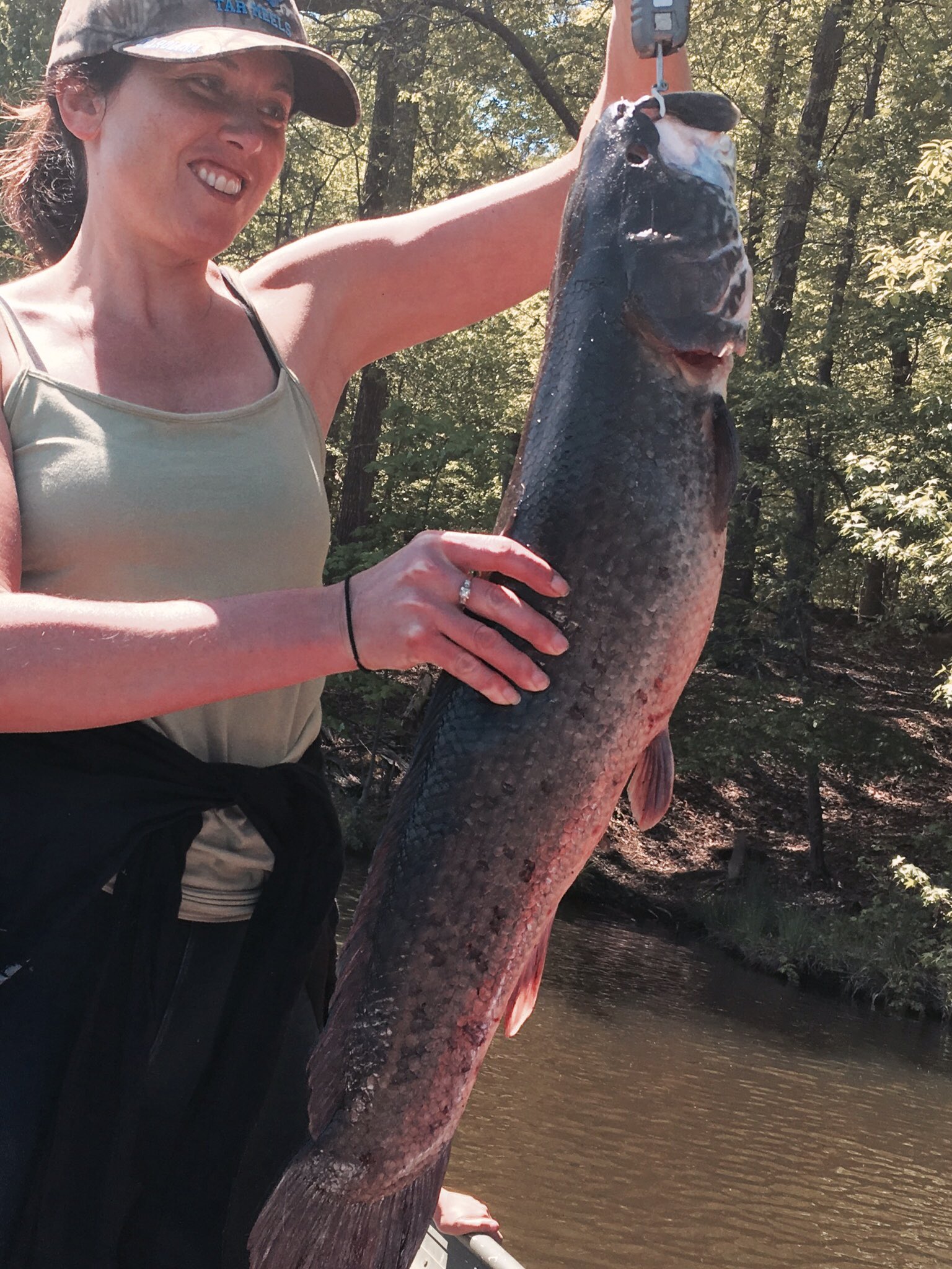 World Record Bowfin