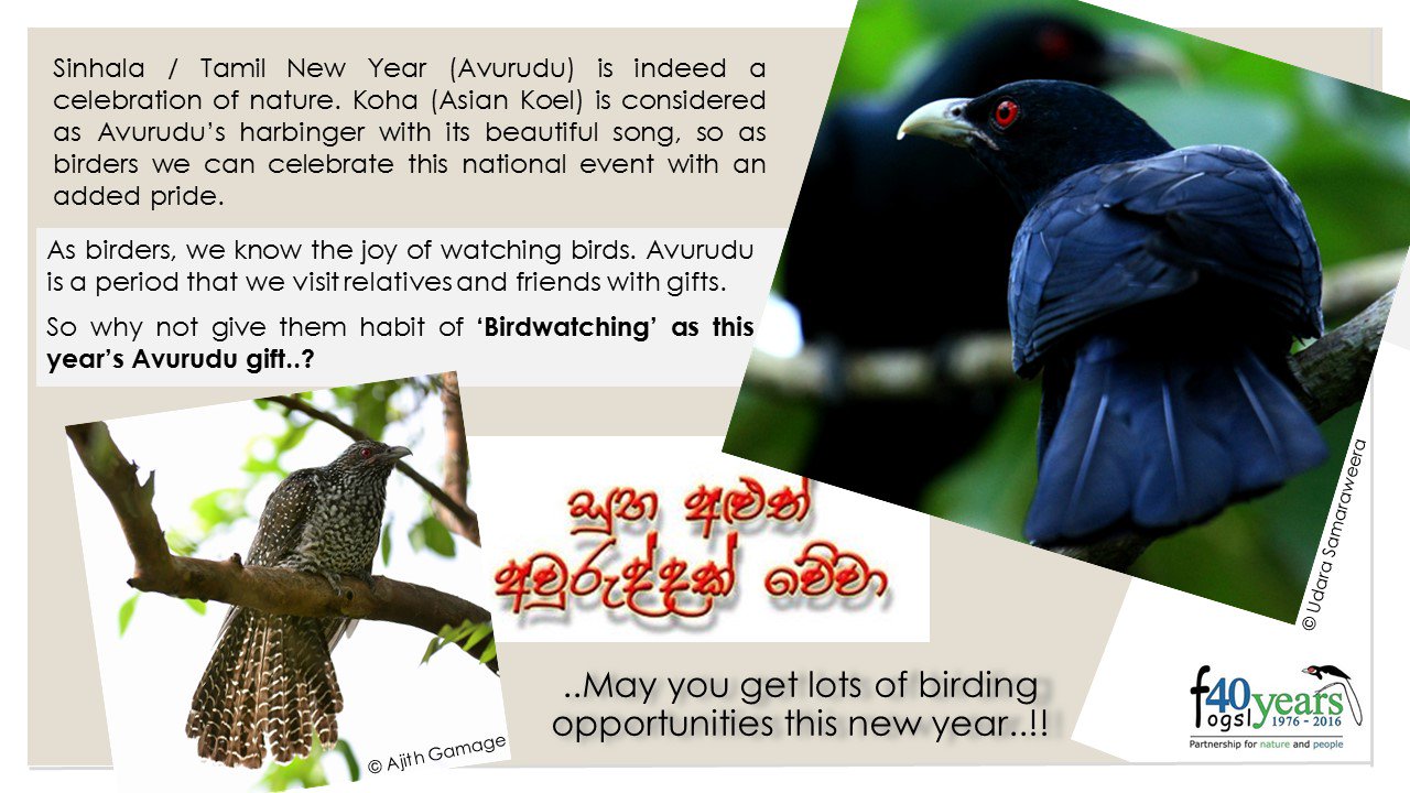Birds Images With Names In Tamil