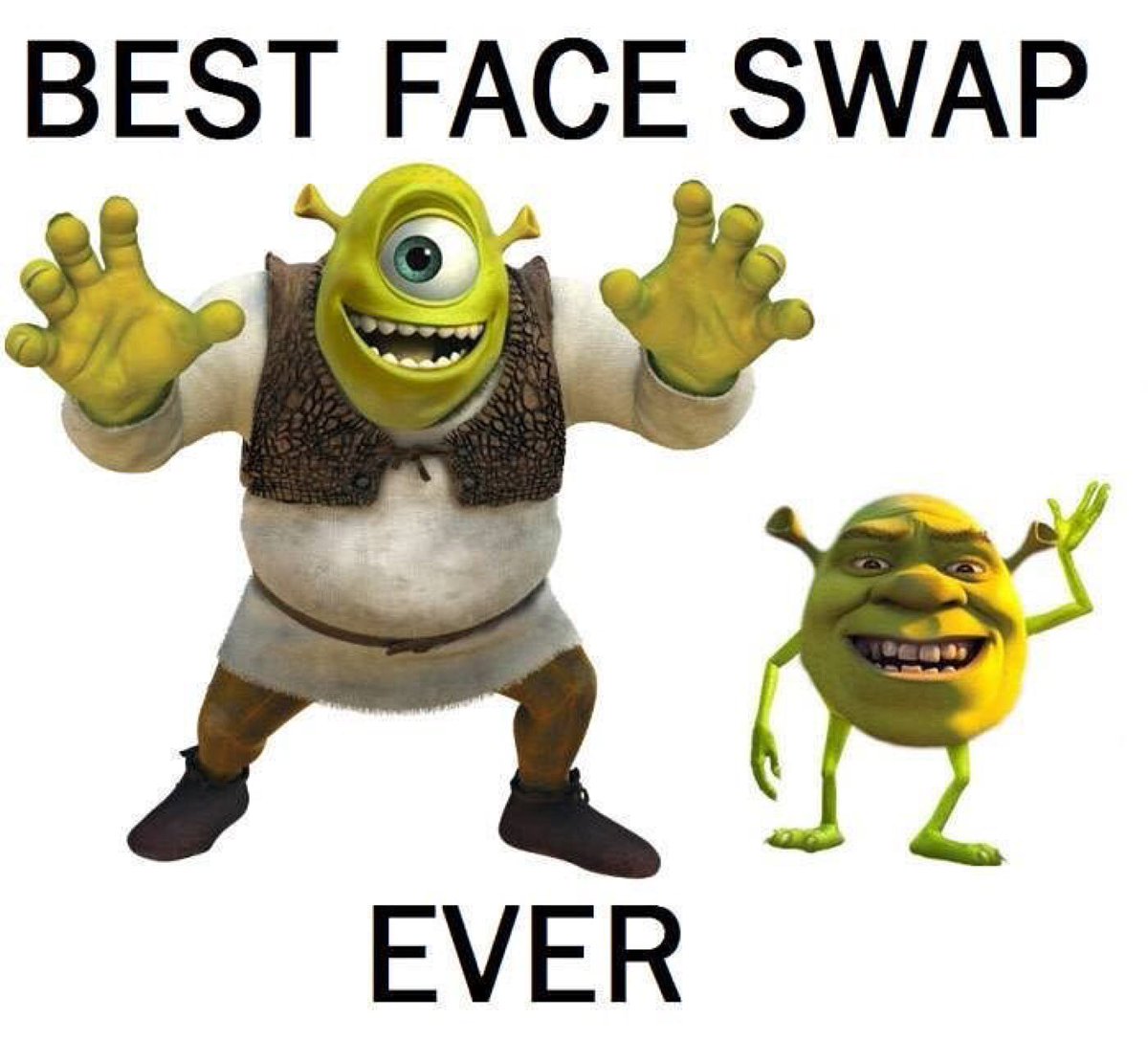 Face Swap Meme