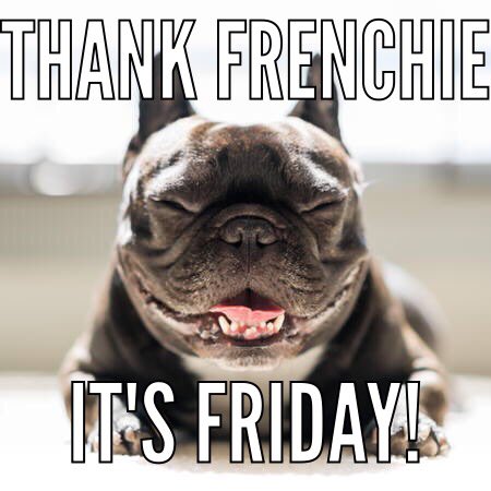 Happy Friday Bulldog