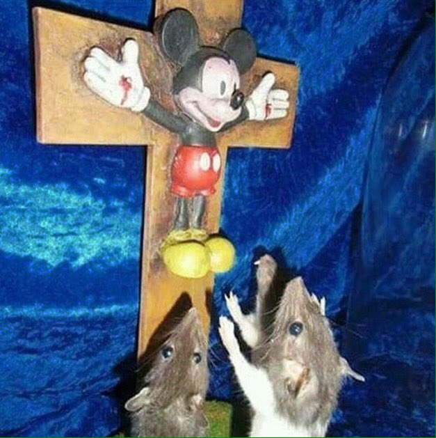 Gematsu: Nippon Ichi Software launches new title teaser website ...