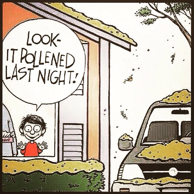 Seasonal Allergies Cartoon