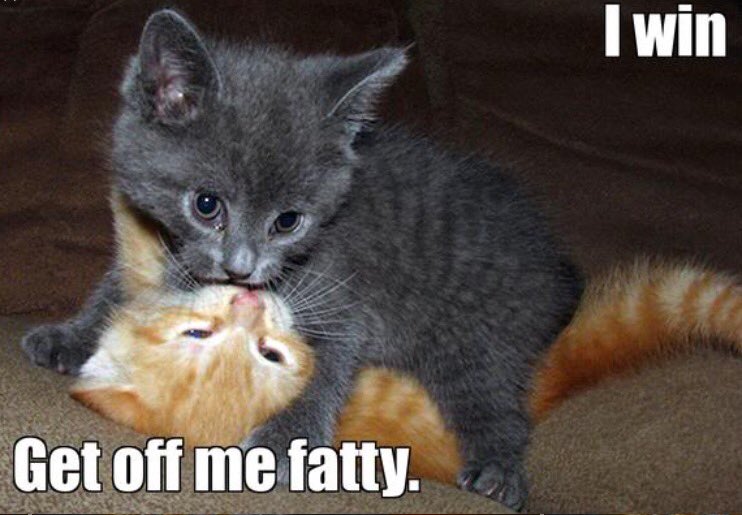 Dev Dev (@rosenberg_devyn) | Twitter