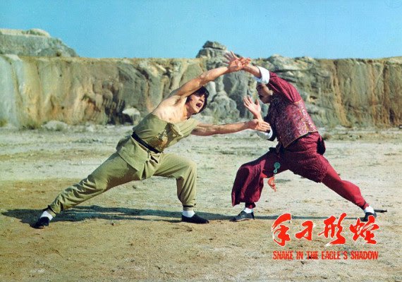 Kung Fu Snake Stance