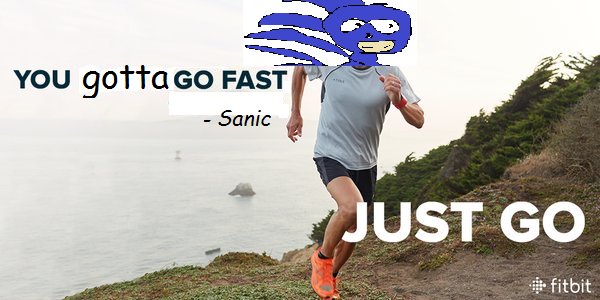 Sanic Gotta Go Faster Memes