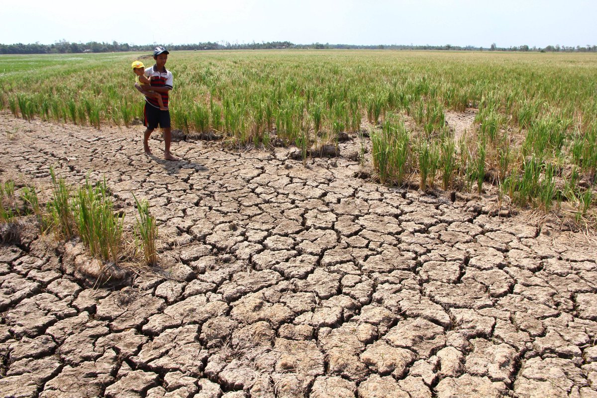 Southeast Asian rice-growing regions face crisis amid worst drought in ...