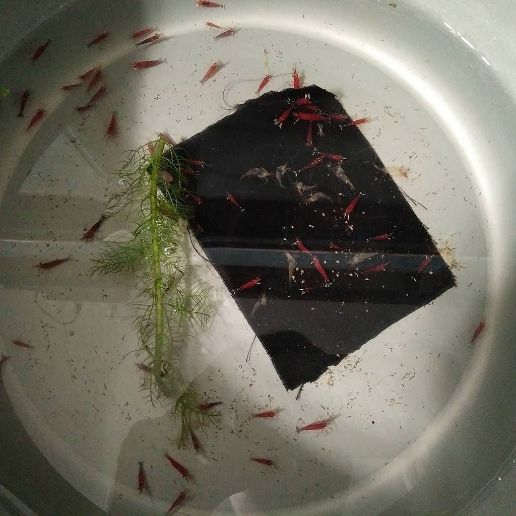 Ganda Manurung (@gandamanurung) | Twitter