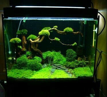 Ganda Manurung (@gandamanurung) | Twitter