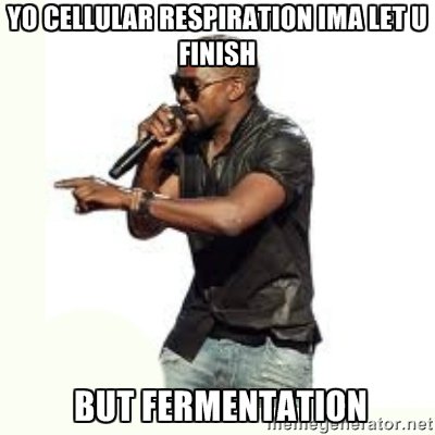 Cell Respiration Memes Tell ISIS Imgflip