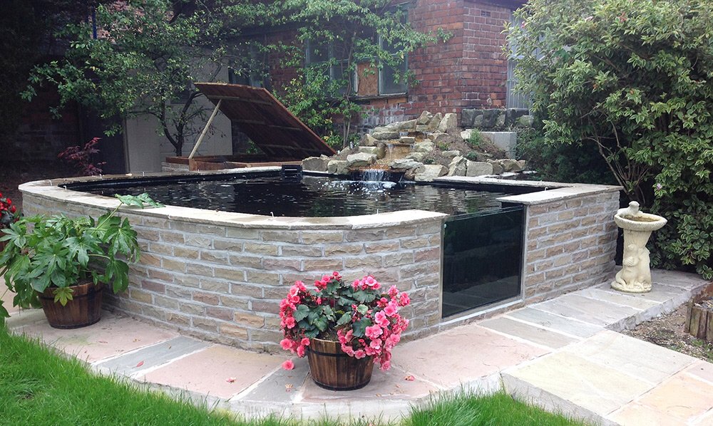 Above Ground Koi Pond Design
