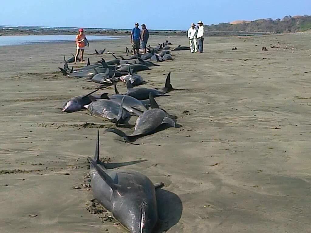 Eneida Cano (@EneidaCano04) | Twitter