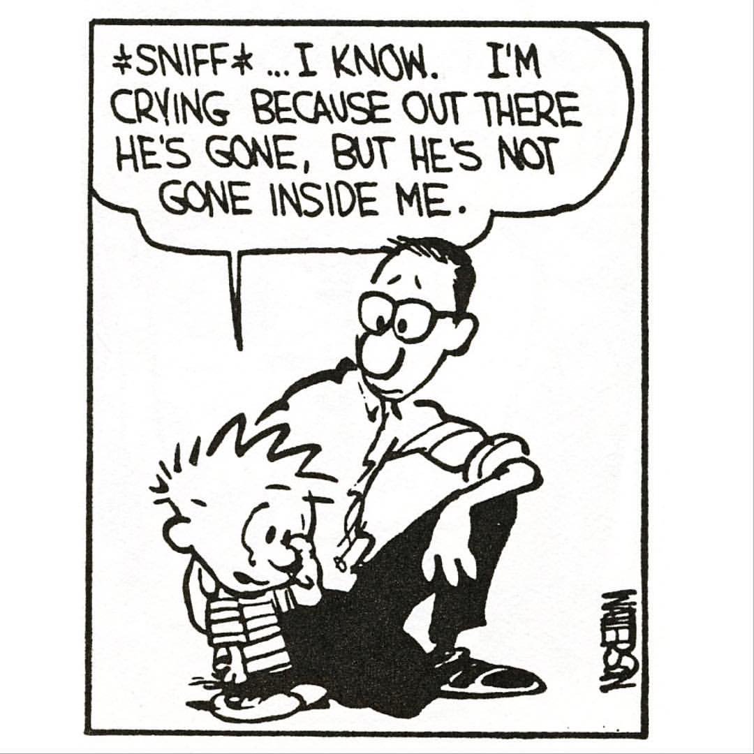 Always. Art by me. : r/calvinandhobbes