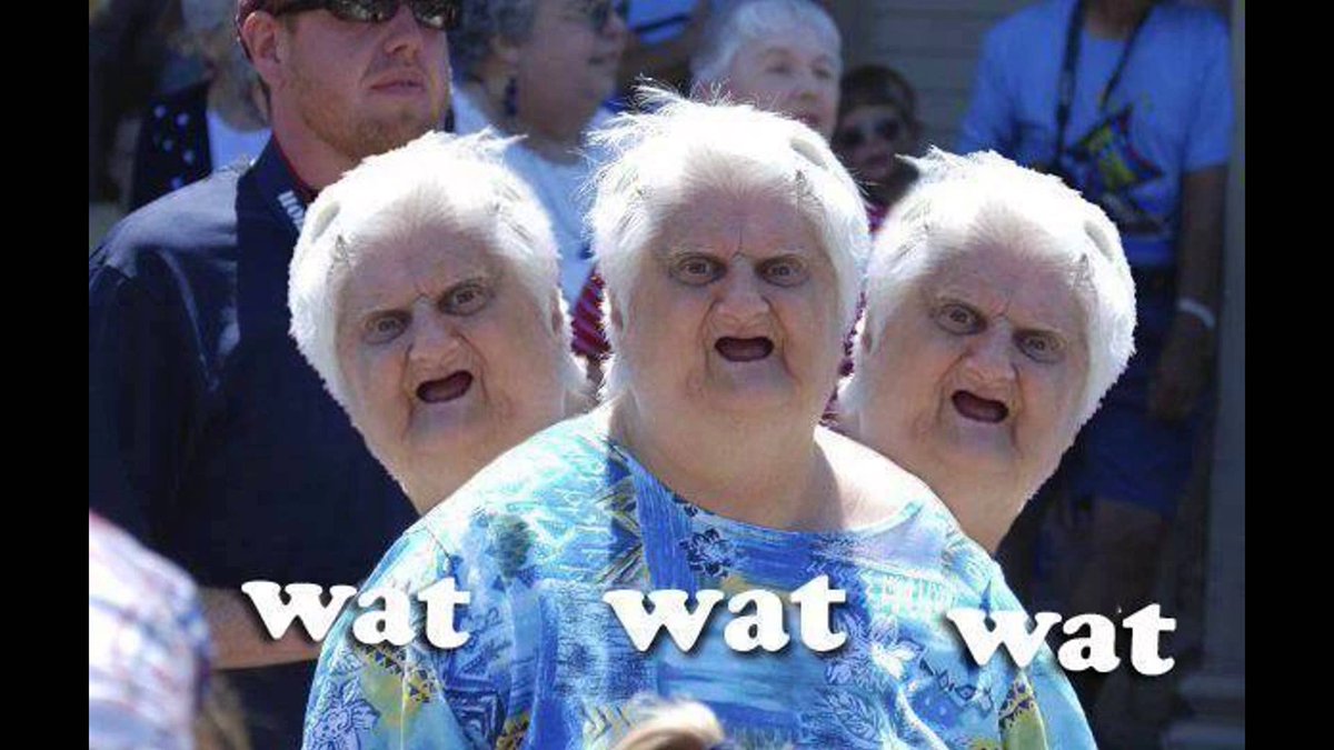 Wut Meme Old Lady