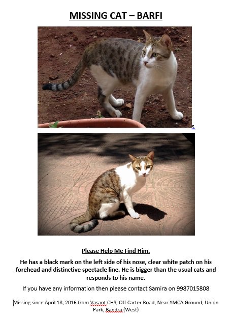 Sameera Shaikh (@SameeraS_83) | Twitter