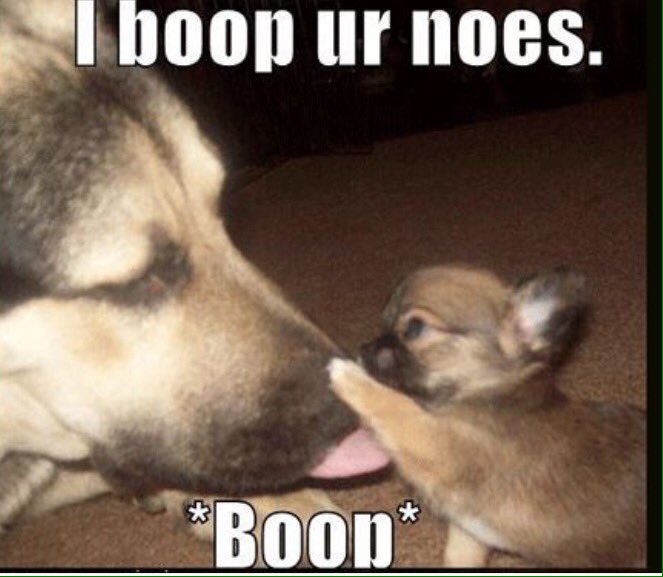 Dev Dev (@rosenberg_devyn) | Twitter