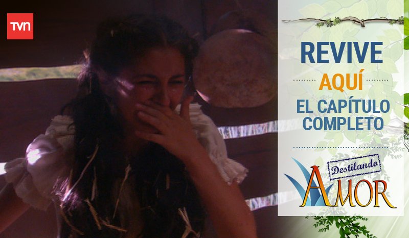 Destilando Amor Acacia