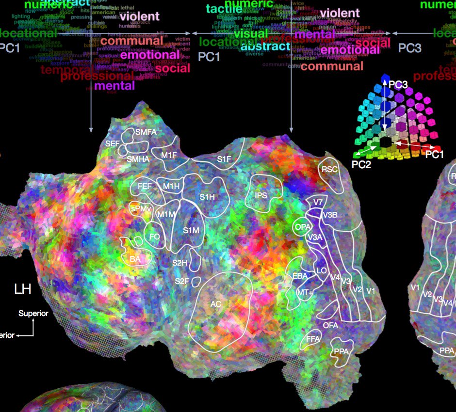 Cognitive Neuroscience
