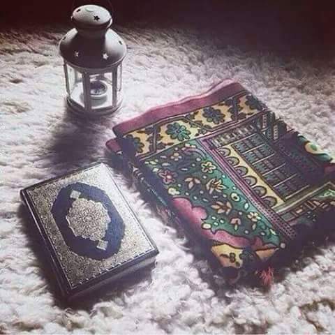 ⭐♪ Mai Wageh⭐♪ (@mai_wageh) | Twitter