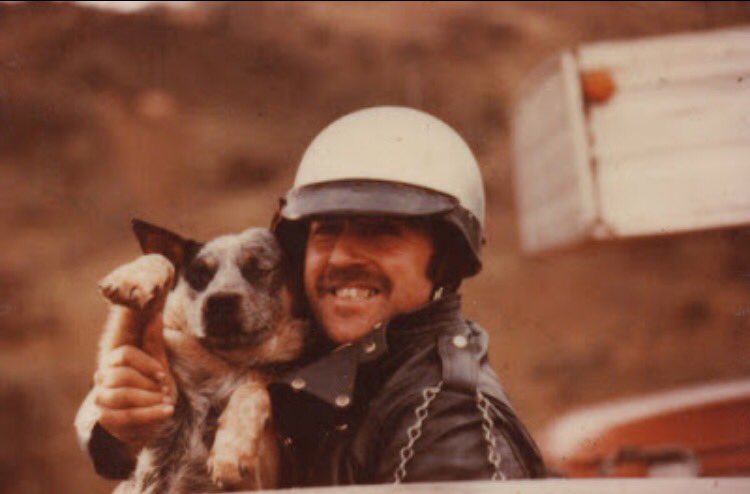 History of the 'DOG' from MAD MAX 2 > General Discussion > AR15.COM