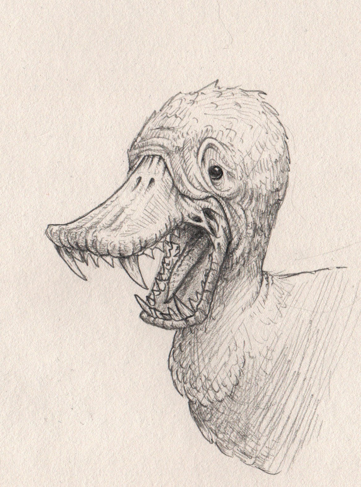 The Ugly Duckling Drawing