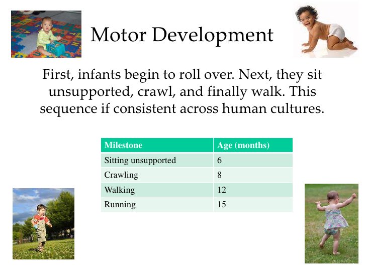 A$ap Developmental Milestones