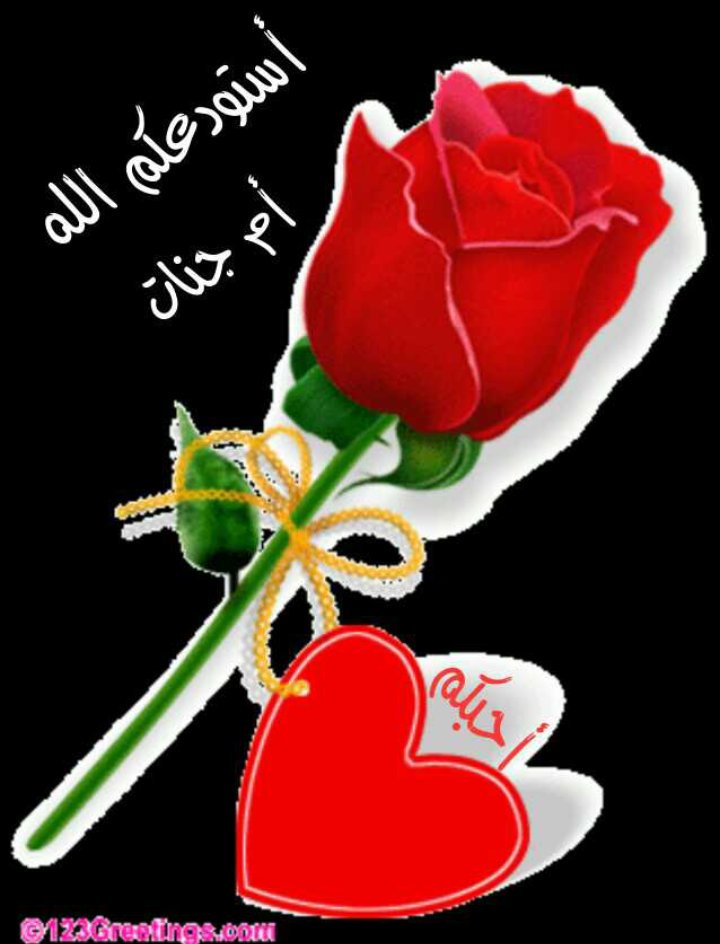 Fadel Alteeb (@FadelAlteeb) | Twitter